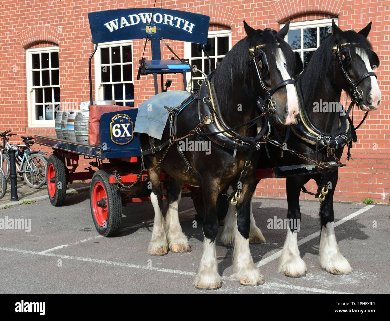 Wadworth shire Horses Max und Monty vor der Brauerei Northgate in ...