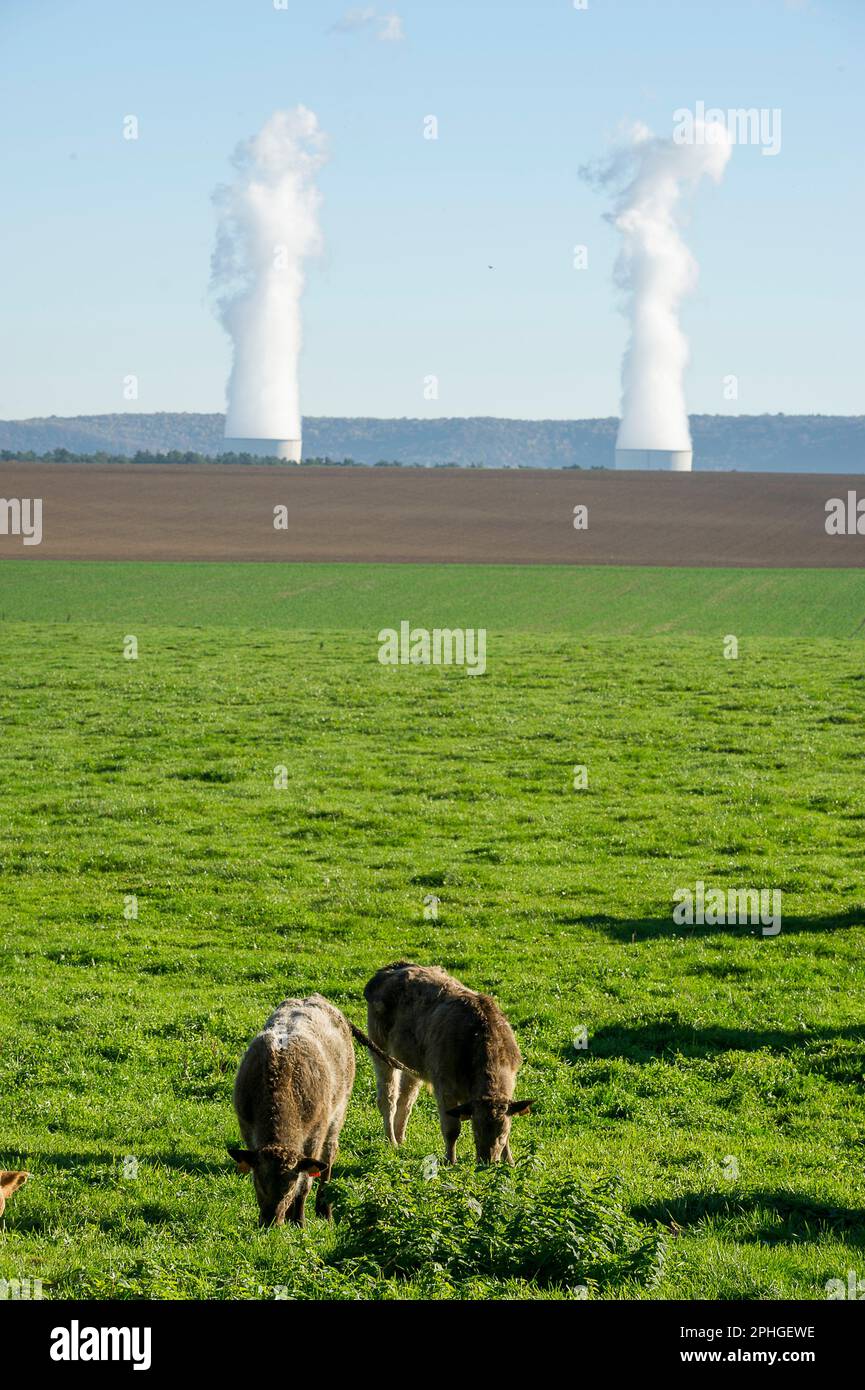 Blick auf den Kamin des Kraftwerks Chooz von den belgischen Wiesen des ...