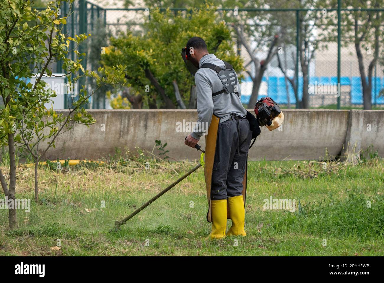 Gras sense mähen -Fotos und -Bildmaterial in hoher Auflösung – Alamy
