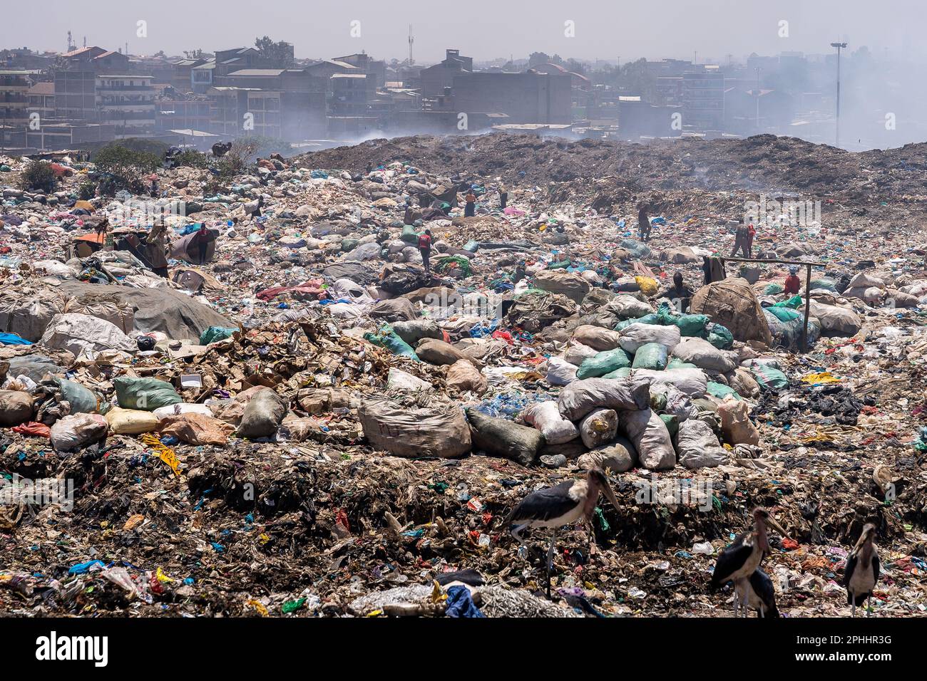 Collecting waste food -Fotos und -Bildmaterial in hoher Auflösung – Alamy