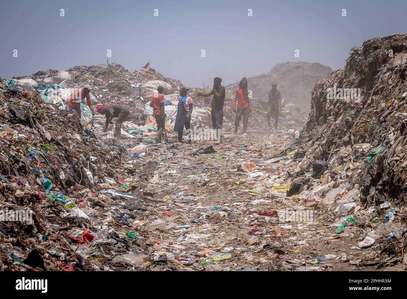 Collecting waste food -Fotos und -Bildmaterial in hoher Auflösung – Alamy