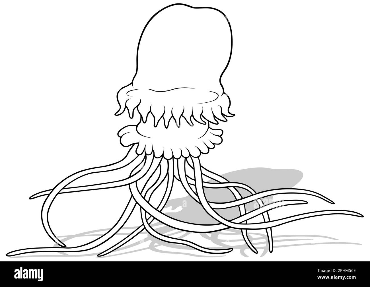 Quallen clipart Schwarzweiß-Stockfotos und -bilder - Alamy