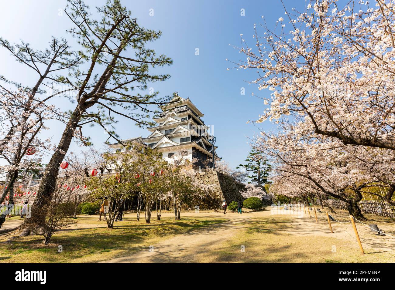 Japanisches Schloss, Fukuyama, in hellem Sonnenschein mit Kirschblüten ...