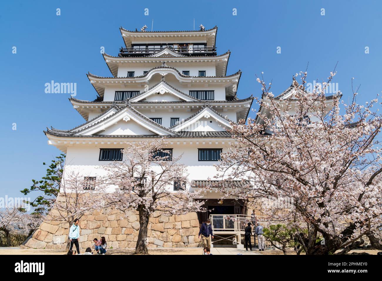Japanisches Schloss, Fukuyama, in hellem Sonnenschein mit Kirschblüten ...