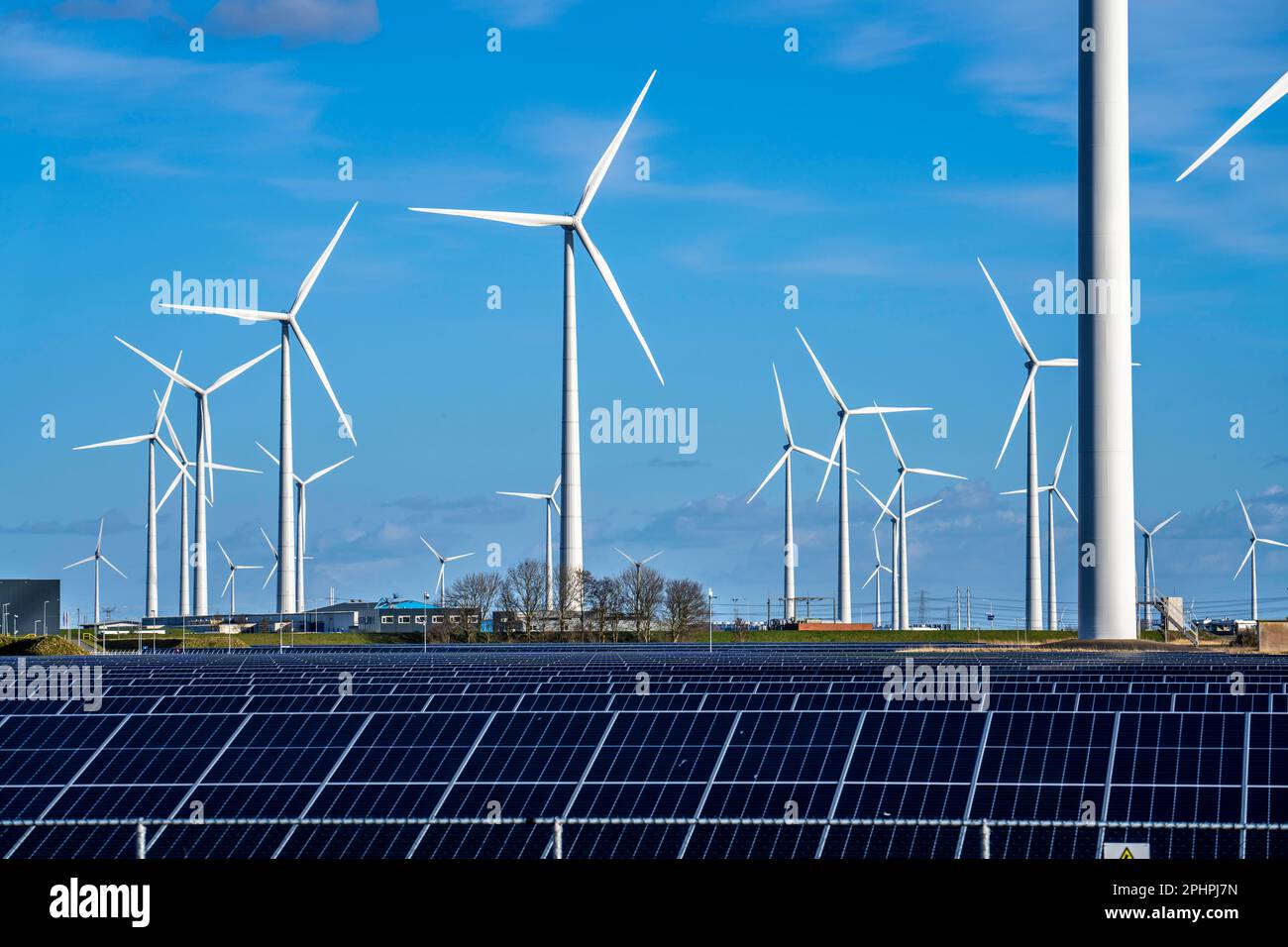 Vopak solarpark eemshaven -Fotos und -Bildmaterial in hoher Auflösung ...