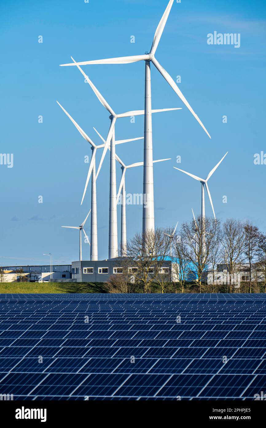 Vopak Solarpark Eemshaven, 19 Hektar Solarmodule mit einer Kapazität ...