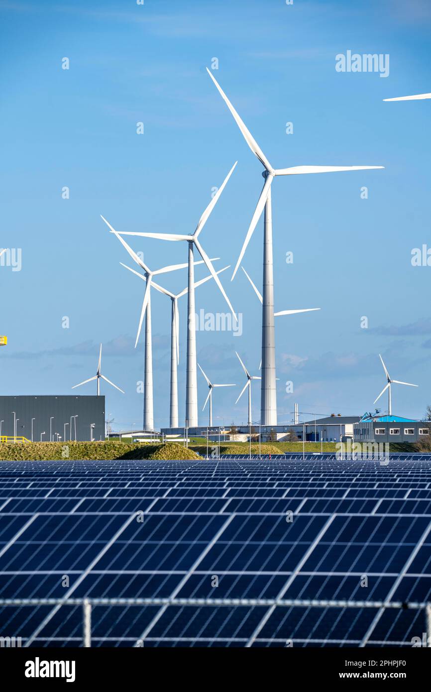 Vopak Solarpark Eemshaven, 19 Hektar Solarmodule mit einer Kapazität ...