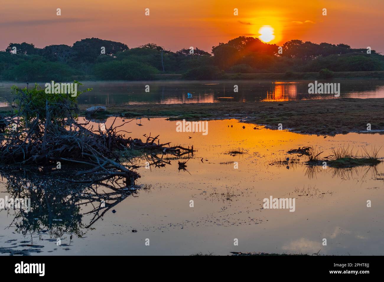 Bundala national park -Fotos und -Bildmaterial in hoher Auflösung – Alamy