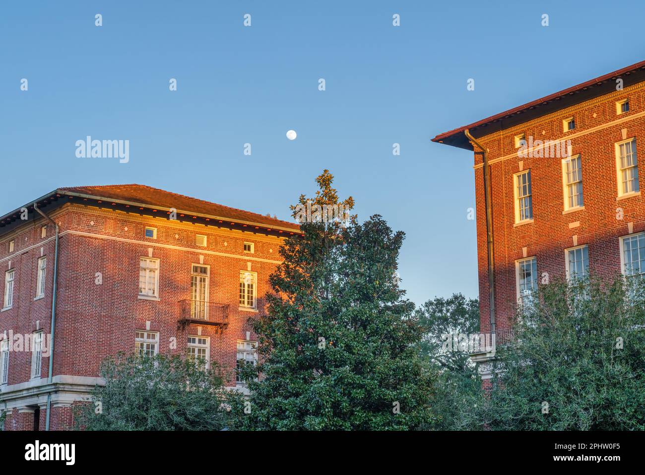 Newcomb college -Fotos und -Bildmaterial in hoher Auflösung – Alamy