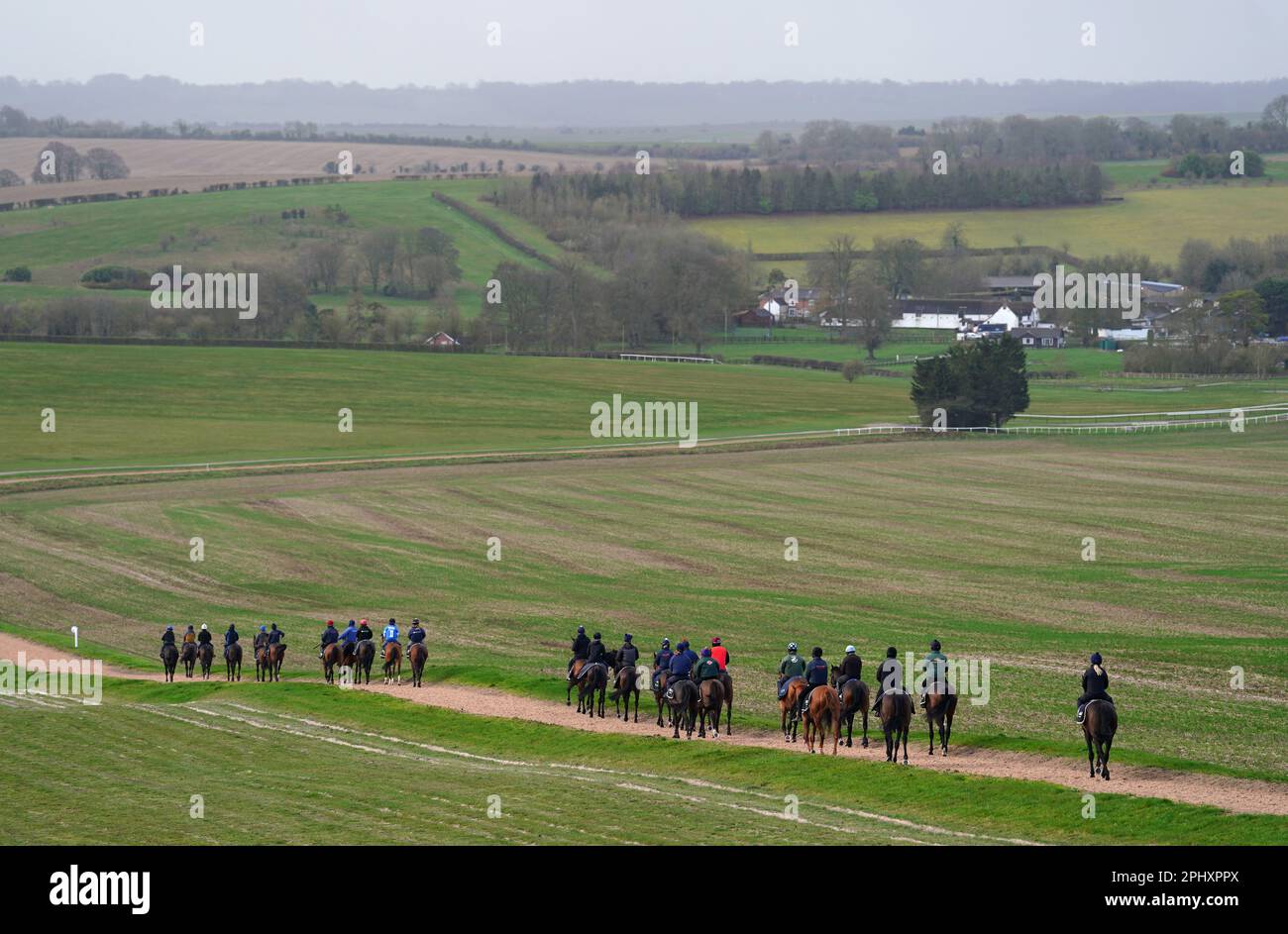 Pferde auf dem Galopp bei einem Besuch der Seven Barrows Stables ...