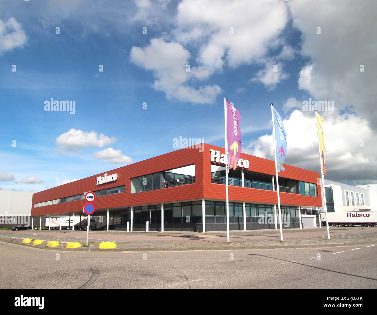 Großhändler und Exporteur Haluco als Marktführer für Obst und Gemüse in ...