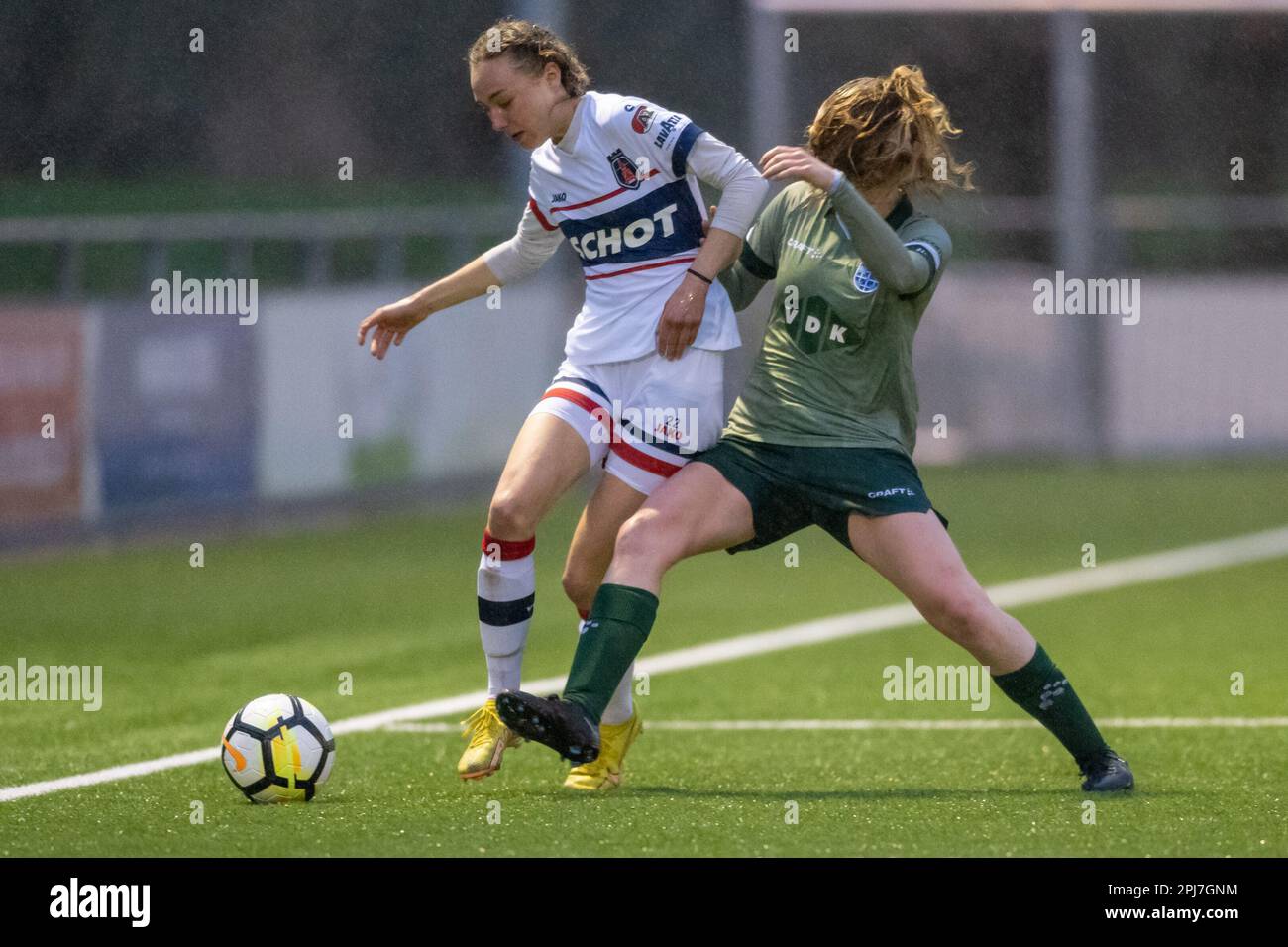 Leoni vliek -Fotos und -Bildmaterial in hoher Auflösung – Alamy