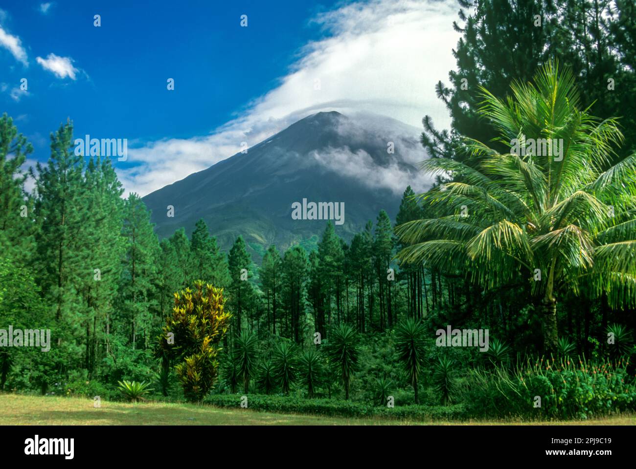 Volcano arenal national park -Fotos und -Bildmaterial in hoher ...