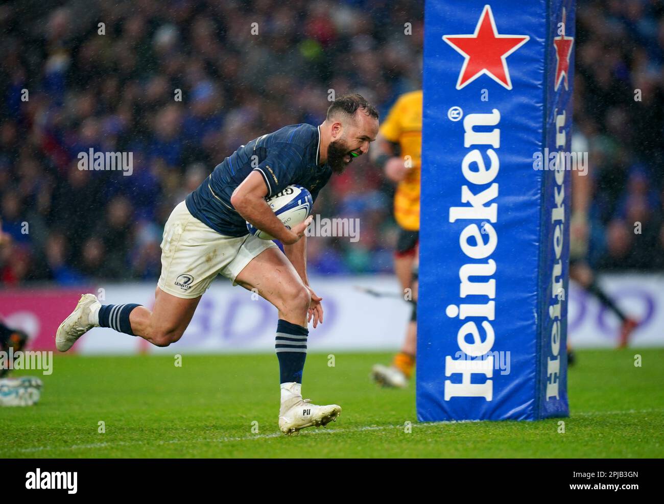 Der Jamison Gibson-Park von Leinster Rugby gewinnt beim Heineken ...