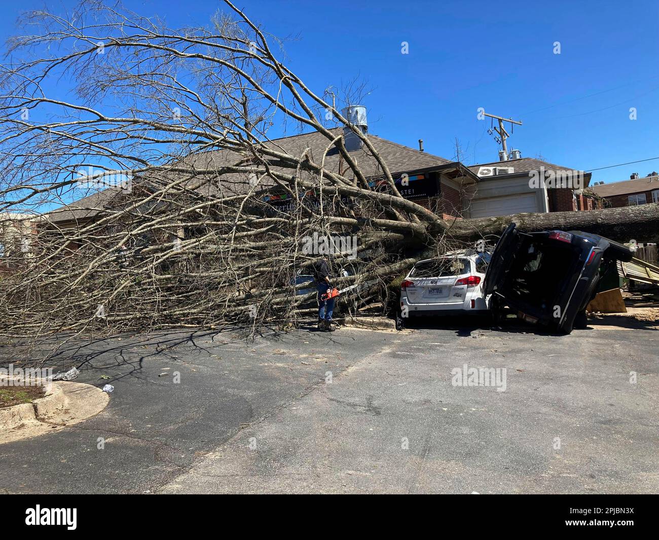 A fallen tree damages a house after a storm in Little Rock, Ark., on ...