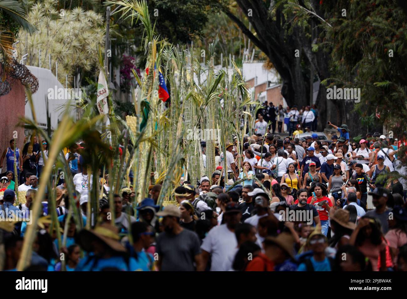 Members of the Palmeros de Chacao brotherhood arrive with bundles of ...