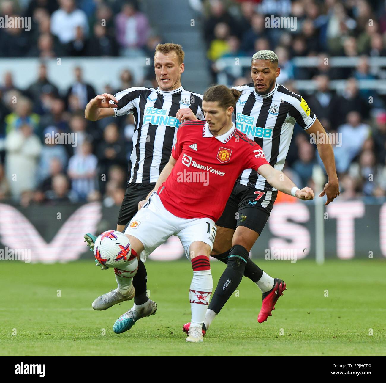 Manchester United Gegen Newcastle United Statistiken