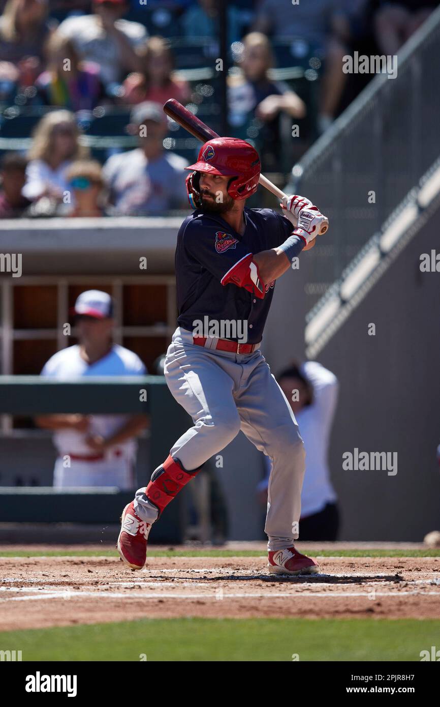 Scott Hurst (32) of the Memphis Redbirds at bat against the Charlotte ...