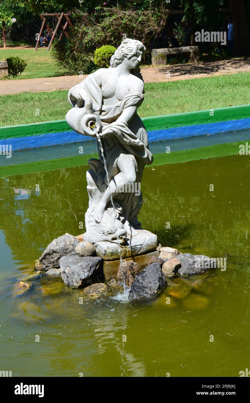 Schriftart bambus -Fotos und -Bildmaterial in hoher Auflösung – Alamy