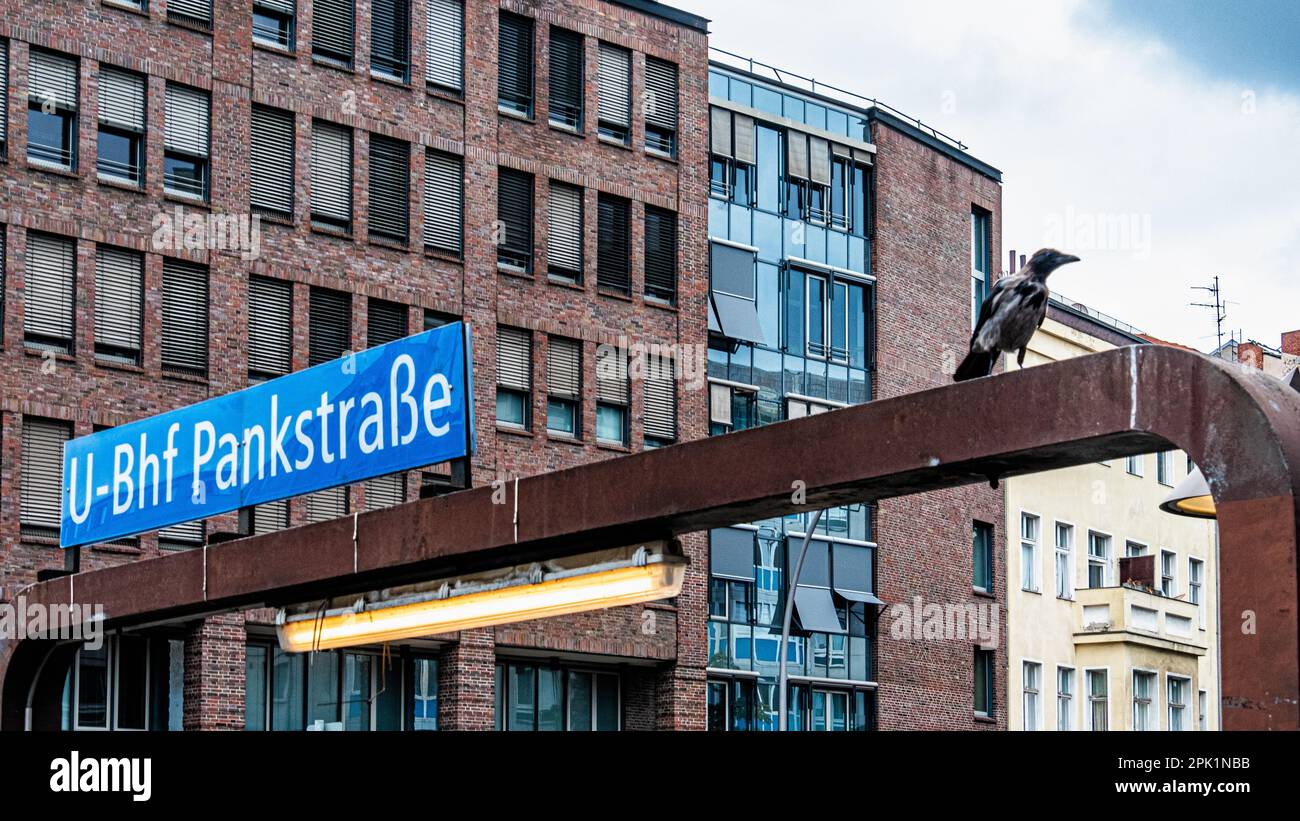 U Pankstraße U-Bahn Station bedient die U8 Linie des Pendlerbahnnetzes ...