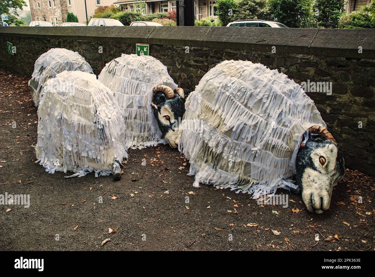 Riesen swaledale schaf skipton -Fotos und -Bildmaterial in hoher ...