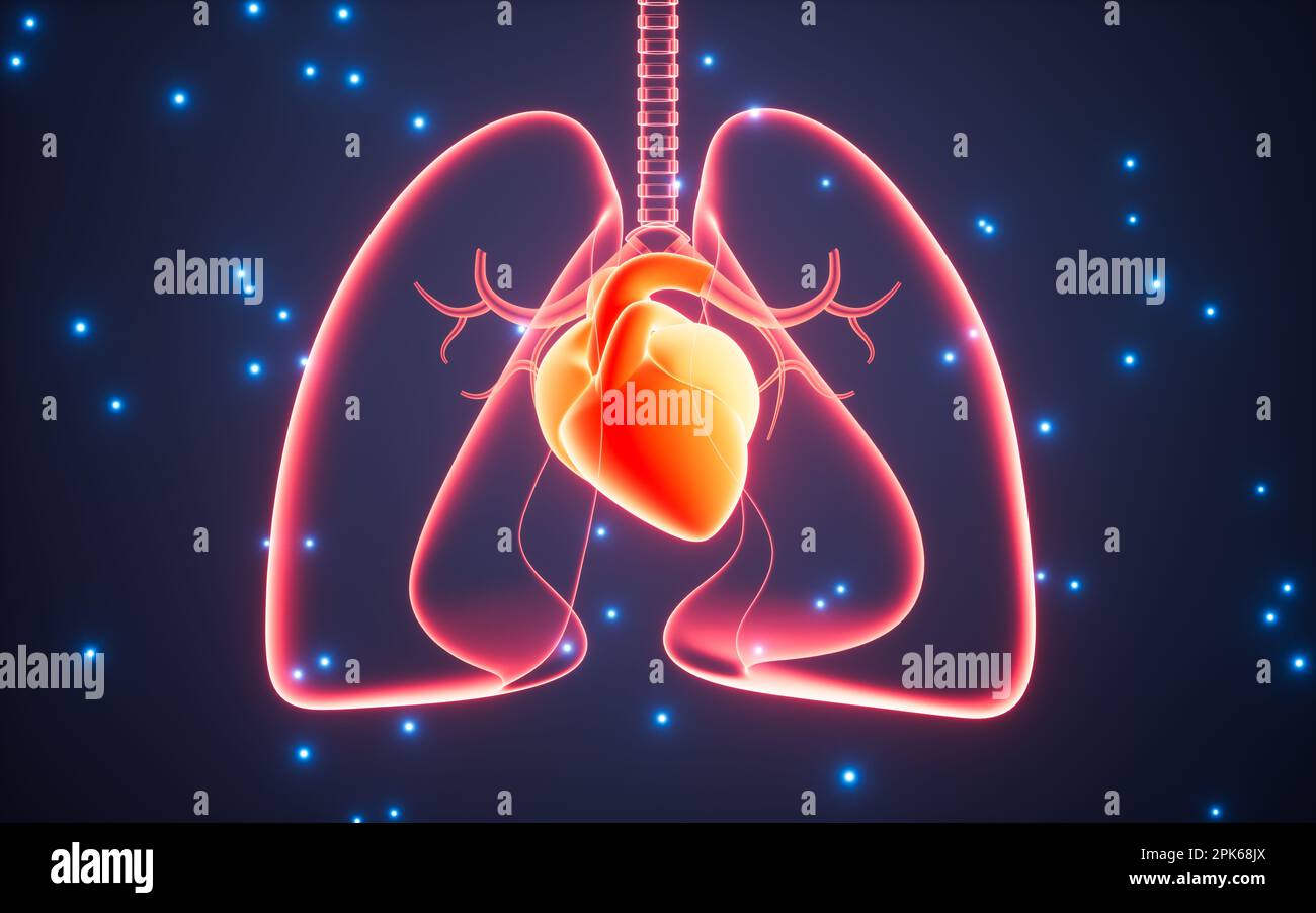 Venas pulmonares 3d -Fotos und -Bildmaterial in hoher Auflösung - Seite ...