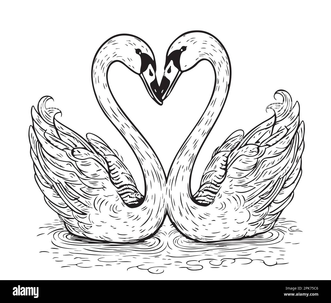 Zwei Schwäne zeichnen eine handgezeichnete Skizze in einer Doodle-Style-Illustration Stock ...