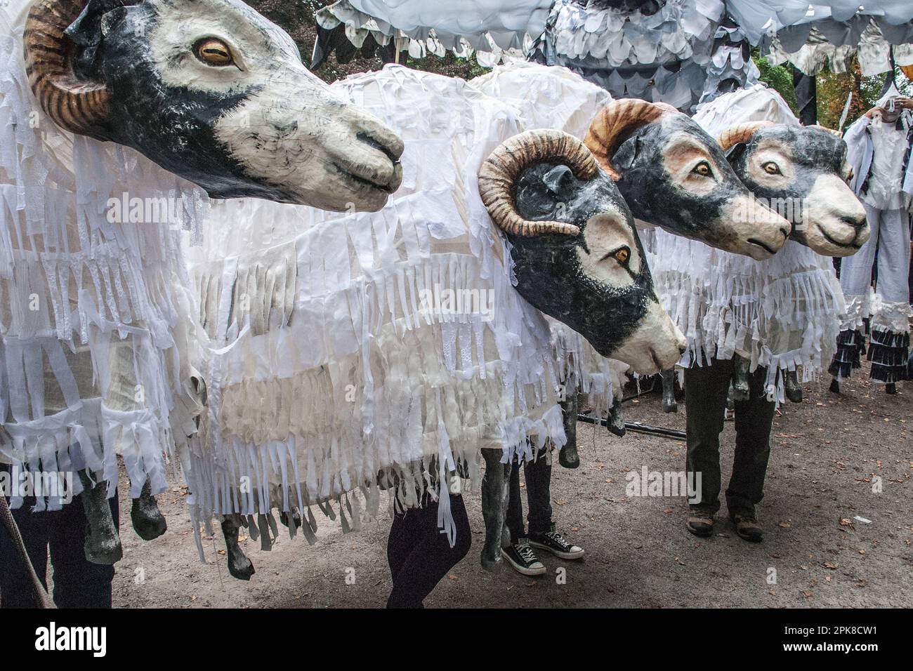 Riesen swaledale schaf skipton -Fotos und -Bildmaterial in hoher ...