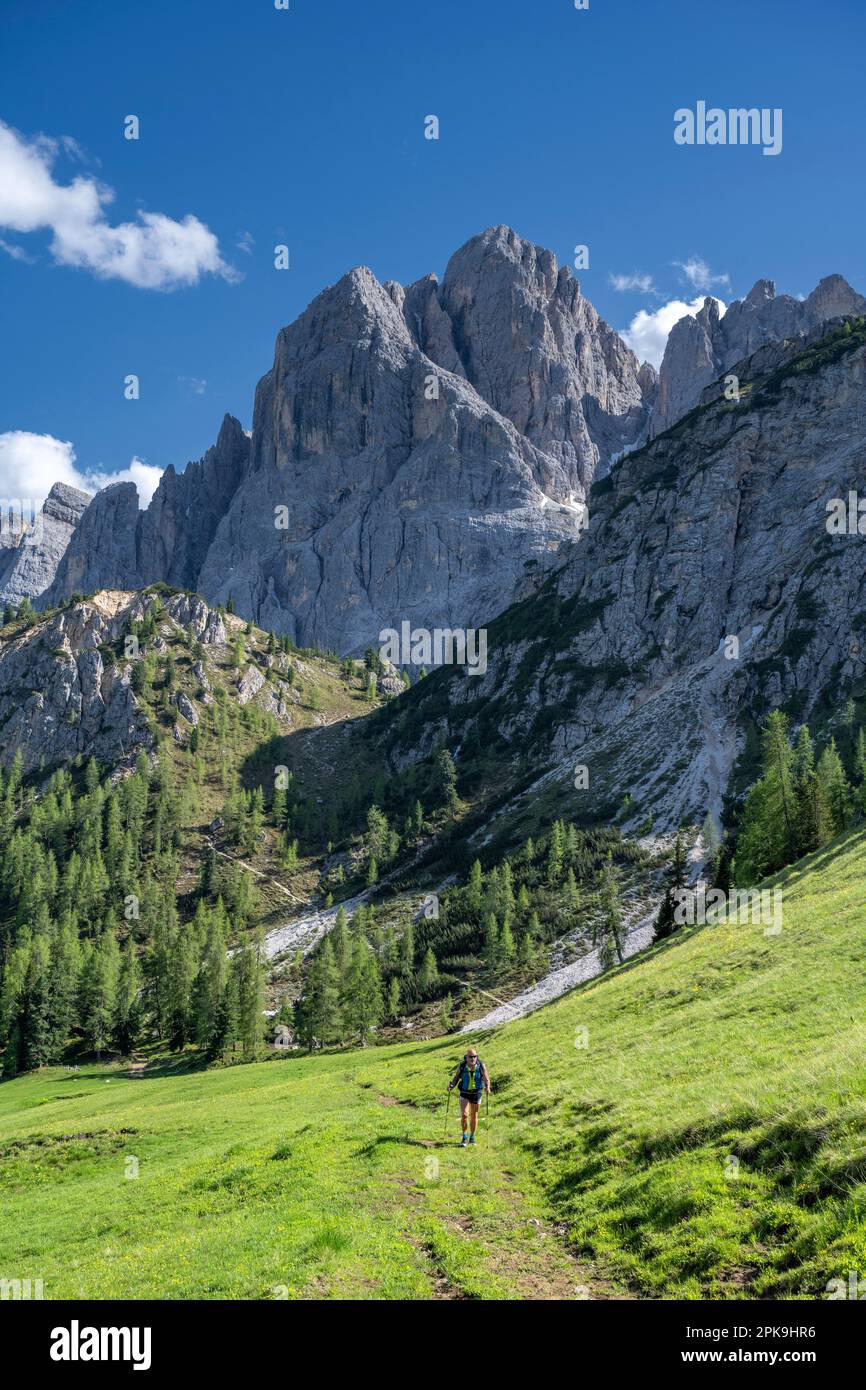 Dobbiaco, Val Pusteria, Provinz Bozen, Südtirol, Italien. Ein Kletterer ...