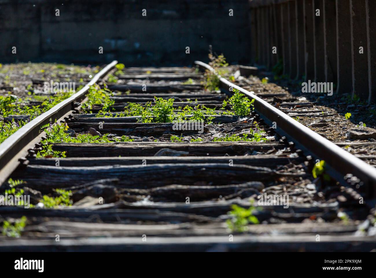 06.05.2018, Deutschland, Thüringen, Weimar - Buchenwald Memorial (KZ ...