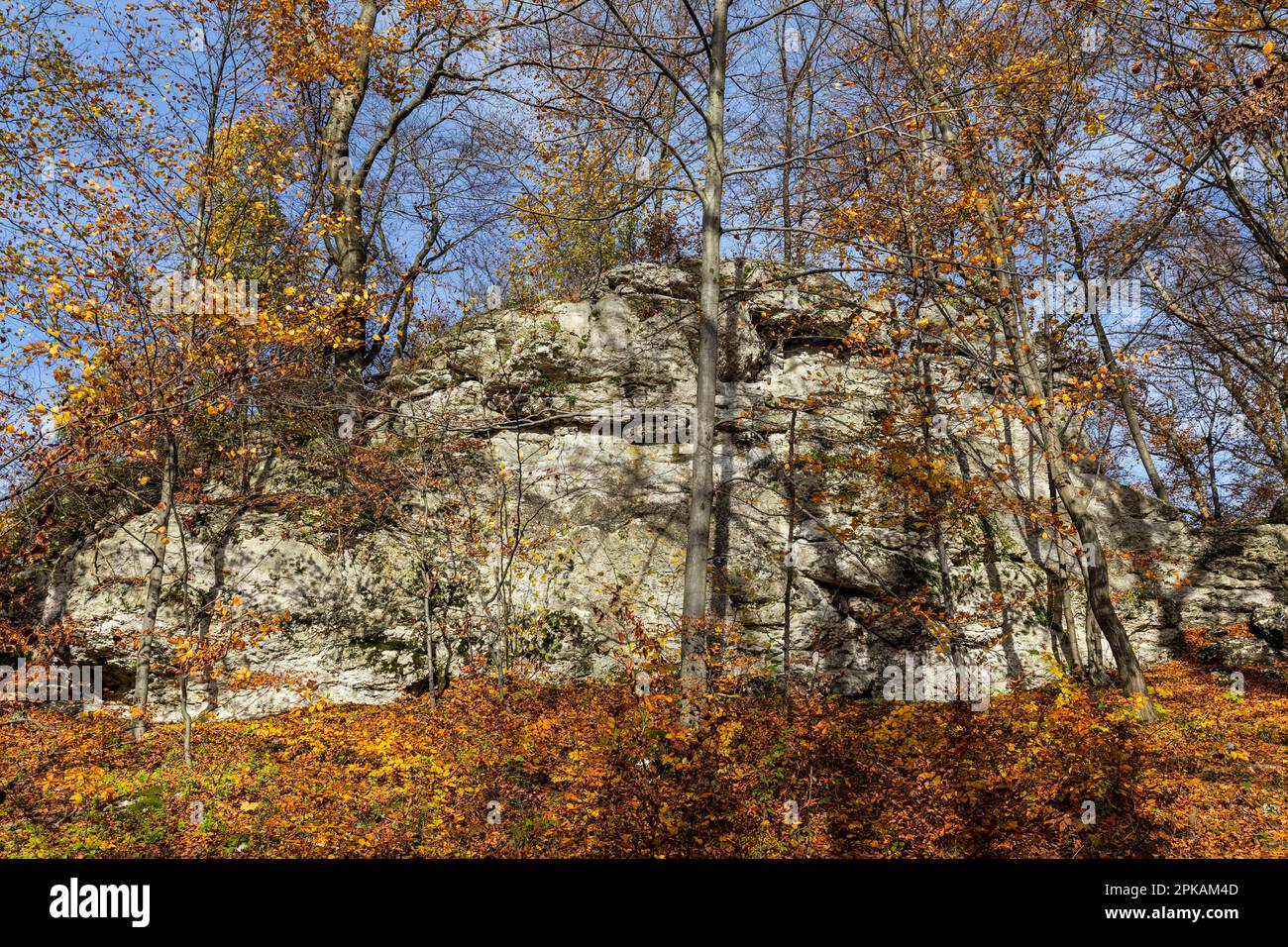 Europa, Polen, Schlesien, Krakau-Tschestochowa Hochland / Polnisches Jurassic Hochland, Rezerwat ...