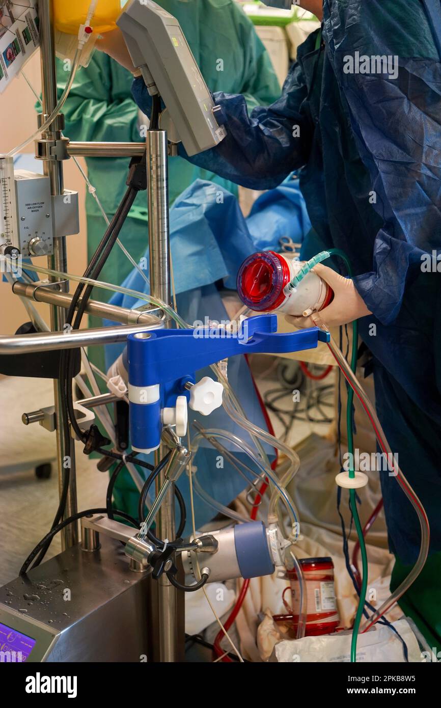 Ausbildung von Praktikanten in der ECMO-Technik, extrakorporale Membranoxygenierung ...