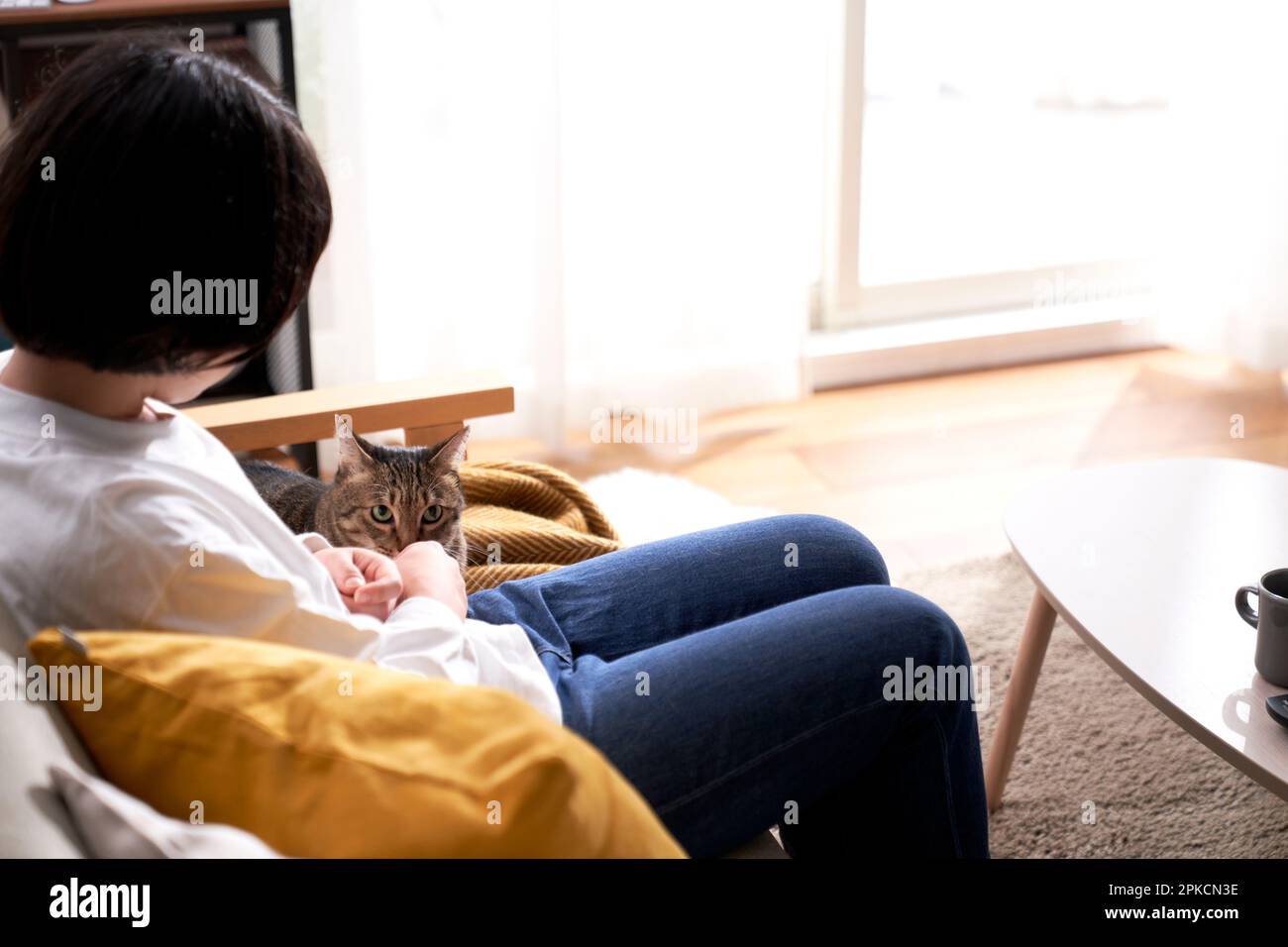 Woman relaxing on sofa with her cat -Fotos und -Bildmaterial in hoher ...