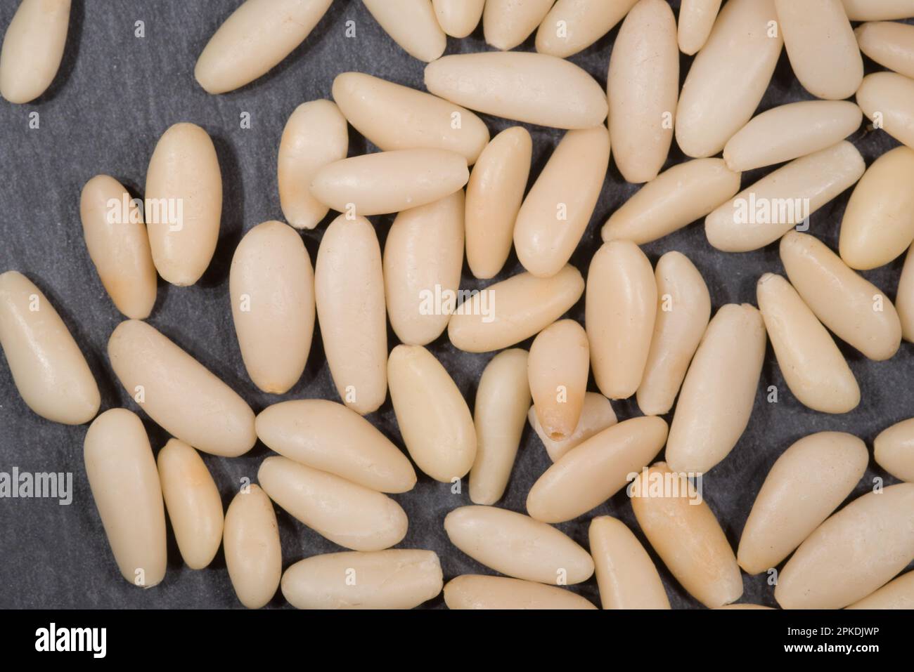 Primo piano di alberi -Fotos und -Bildmaterial in hoher Auflösung – Alamy