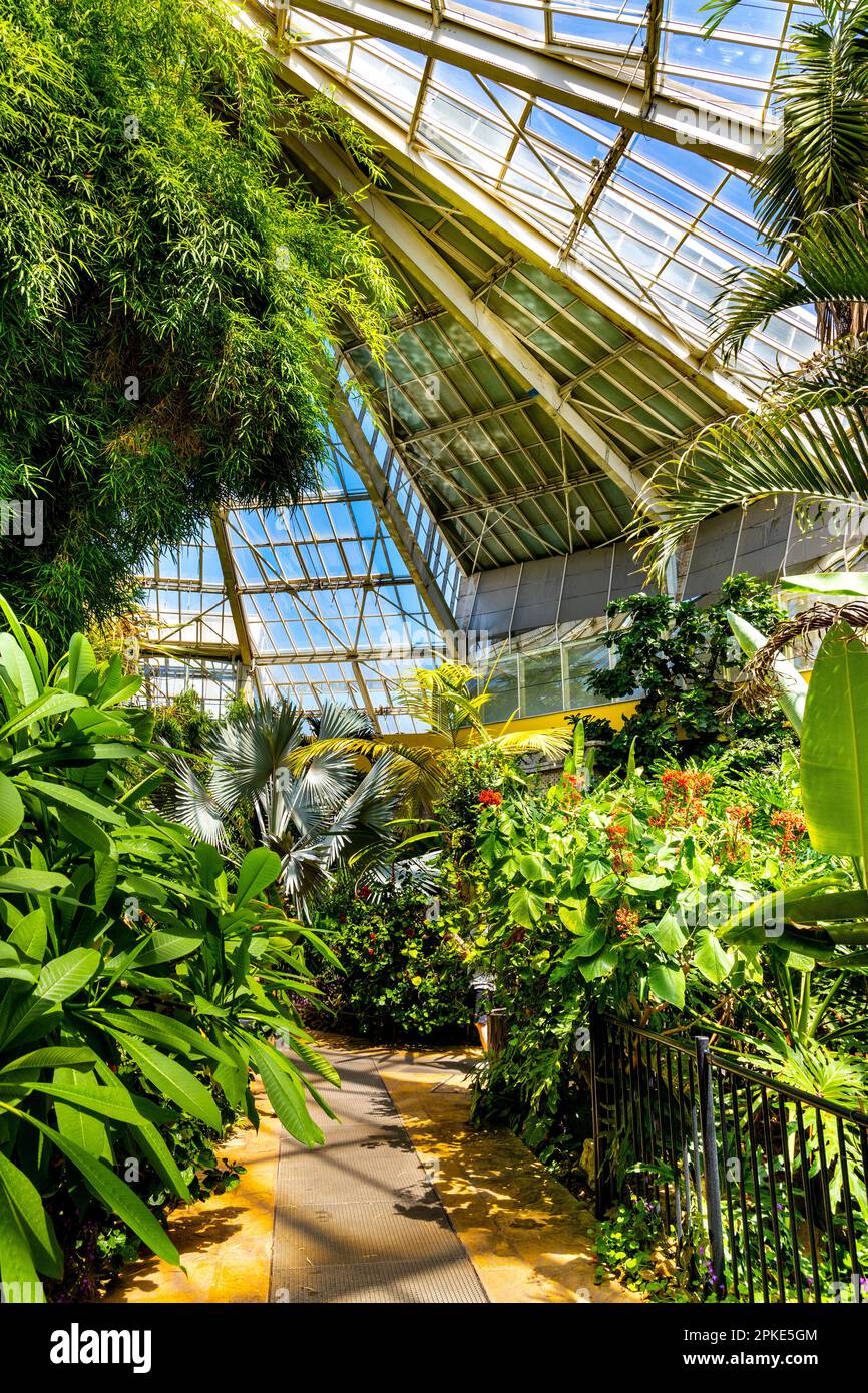 Nizza, Frankreich - 30. Juli 2022: Parc Phoenix Park, botanischer und ...