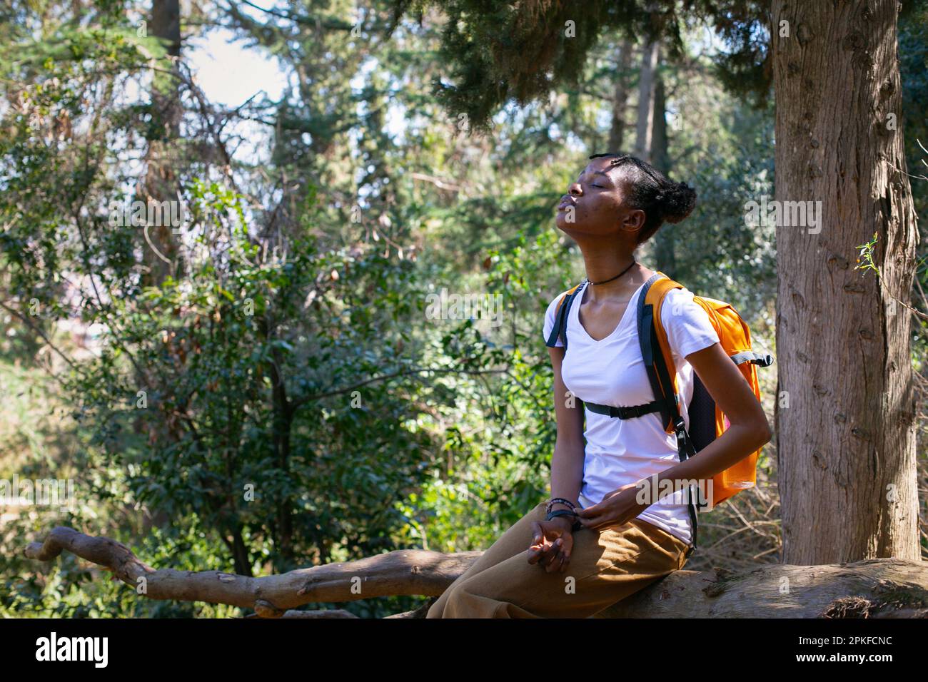 Mädchen im wald spazieren -Fotos und -Bildmaterial in hoher Auflösung - Seite 3 - Alamy