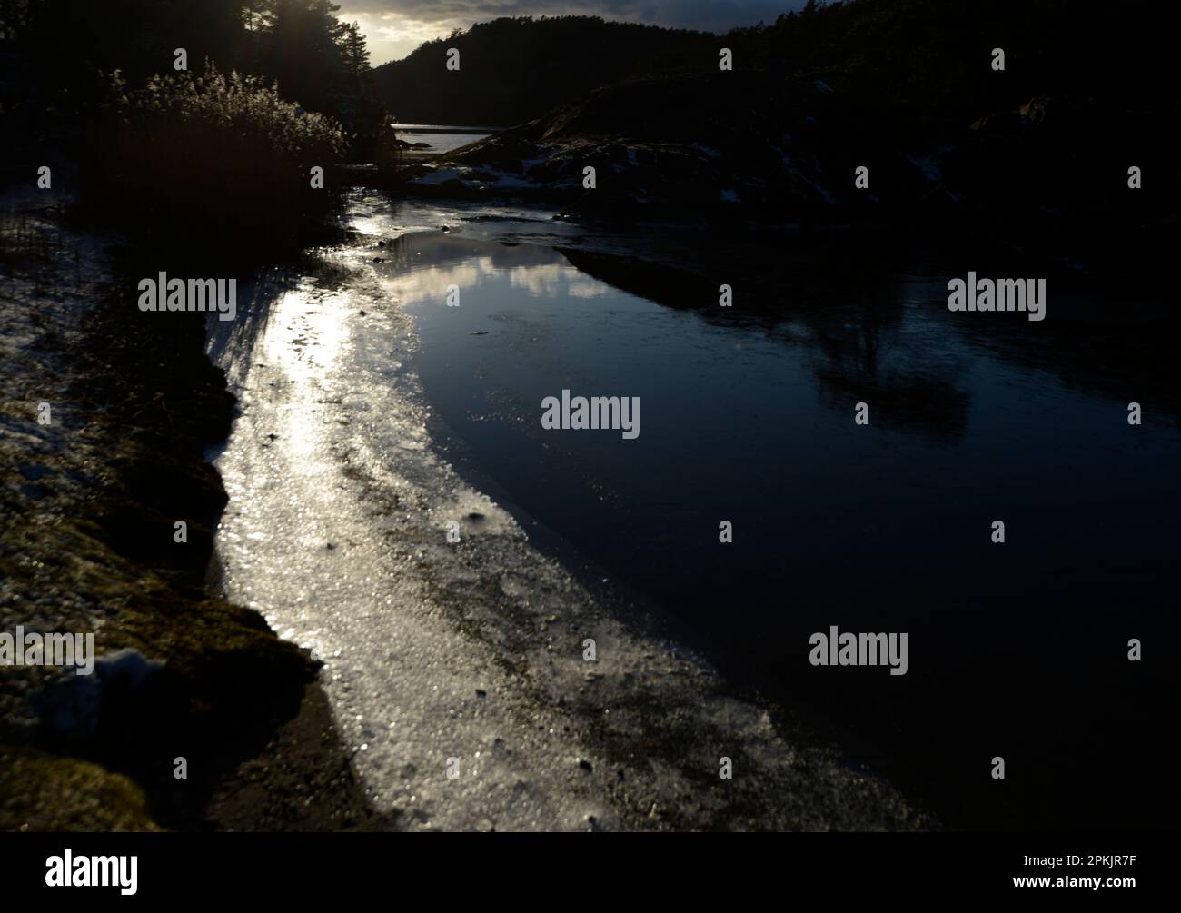 Feuchtgebiet europa -Fotos und -Bildmaterial in hoher Auflösung – Alamy