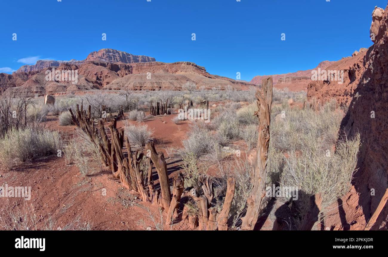 Cañón del corral -Fotos und -Bildmaterial in hoher Auflösung – Alamy