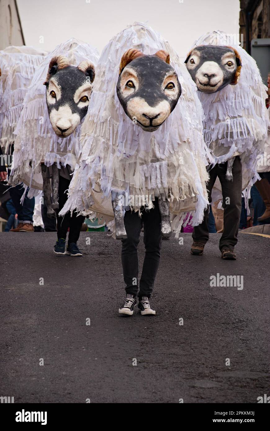 Riesen swaledale schaf skipton -Fotos und -Bildmaterial in hoher ...