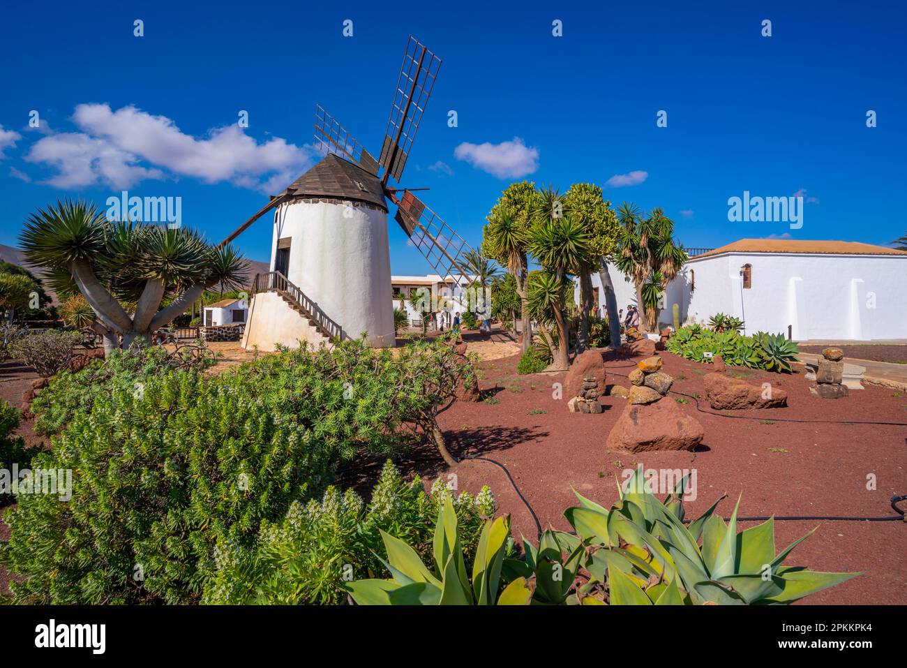 Kanarische inseln museum -Fotos und -Bildmaterial in hoher Auflösung ...