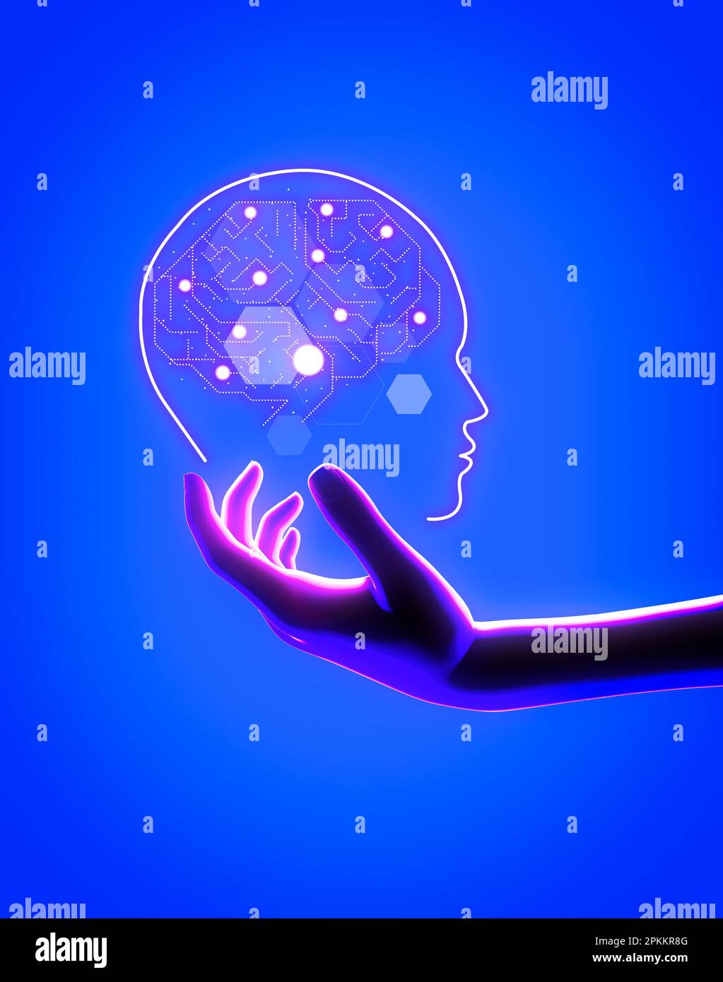 Gehirn anatomie zeichnung -Fotos und -Bildmaterial in hoher Auflösung ...