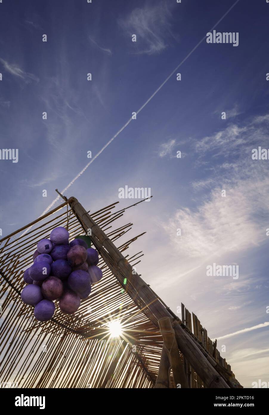 Afrika brennen -Fotos und -Bildmaterial in hoher Auflösung – Alamy