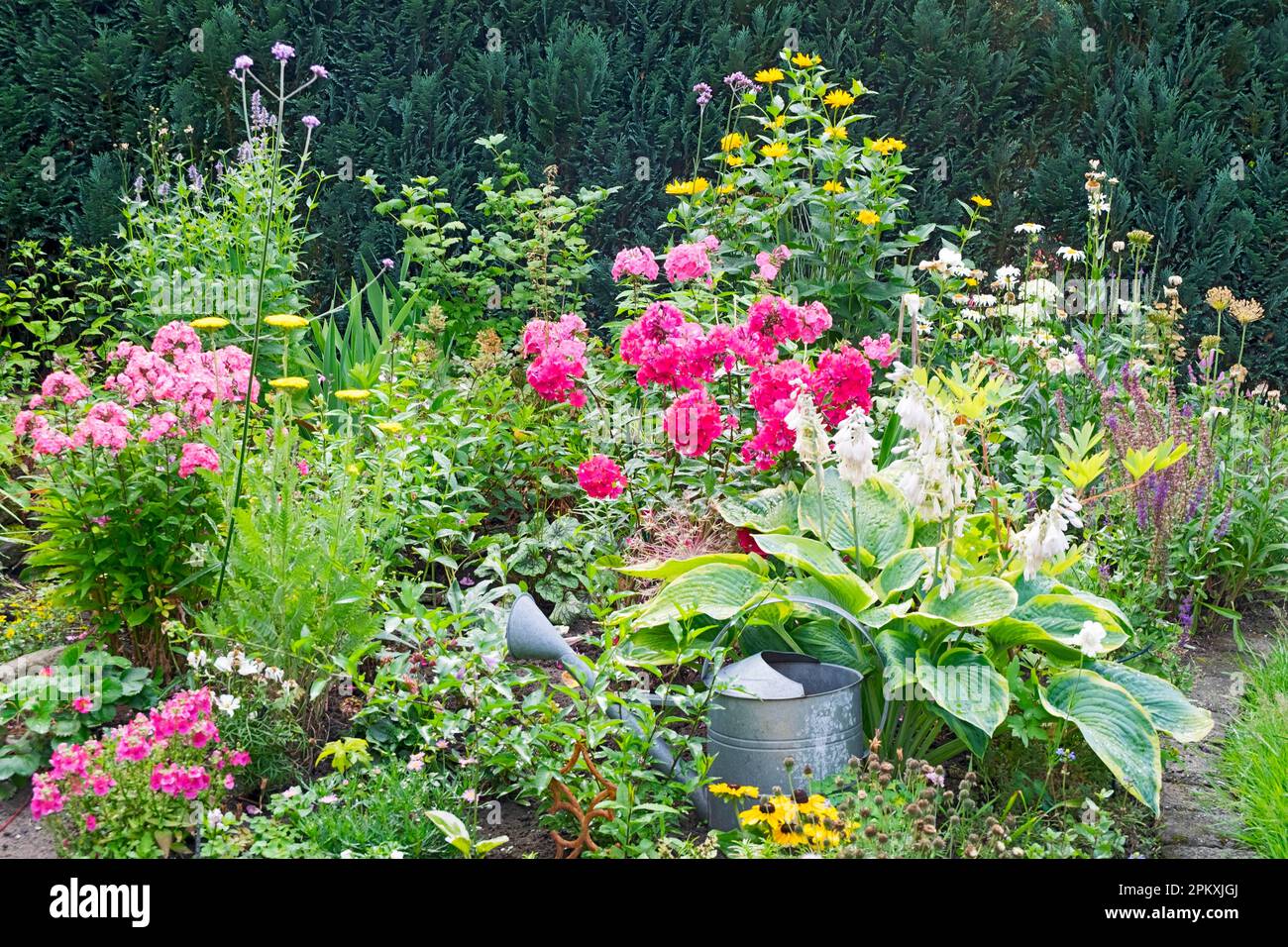 Frhjahrsblumen Im Garten