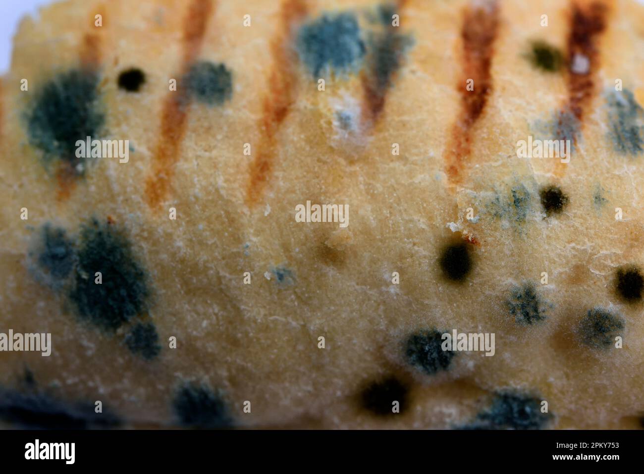 Aus dem regal werfen -Fotos und -Bildmaterial in hoher Auflösung – Alamy