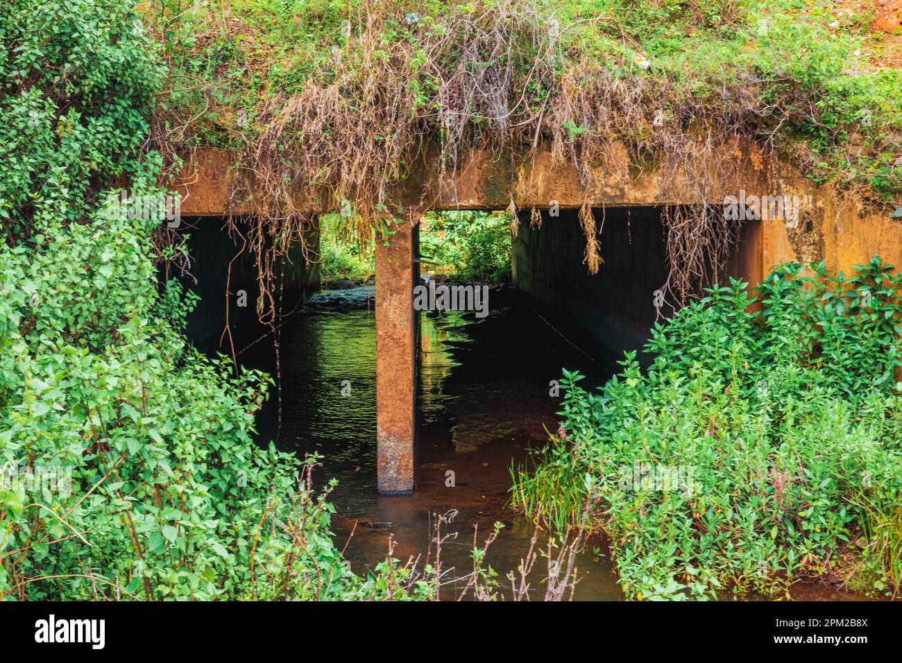 Sipi fluss -Fotos und -Bildmaterial in hoher Auflösung – Alamy