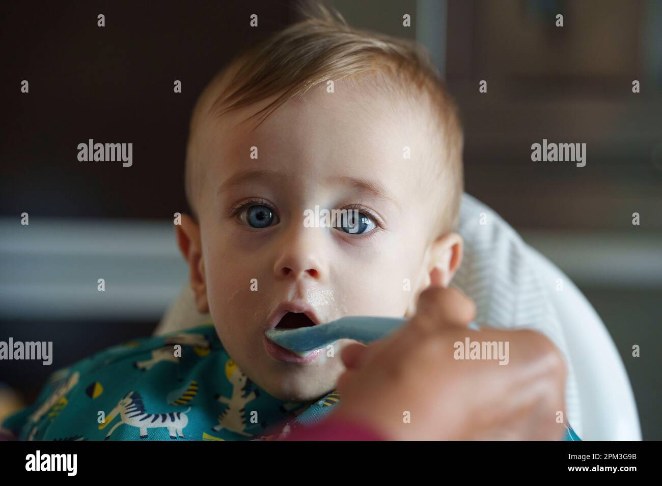 Fütterung baby -Fotos und -Bildmaterial in hoher Auflösung – Alamy