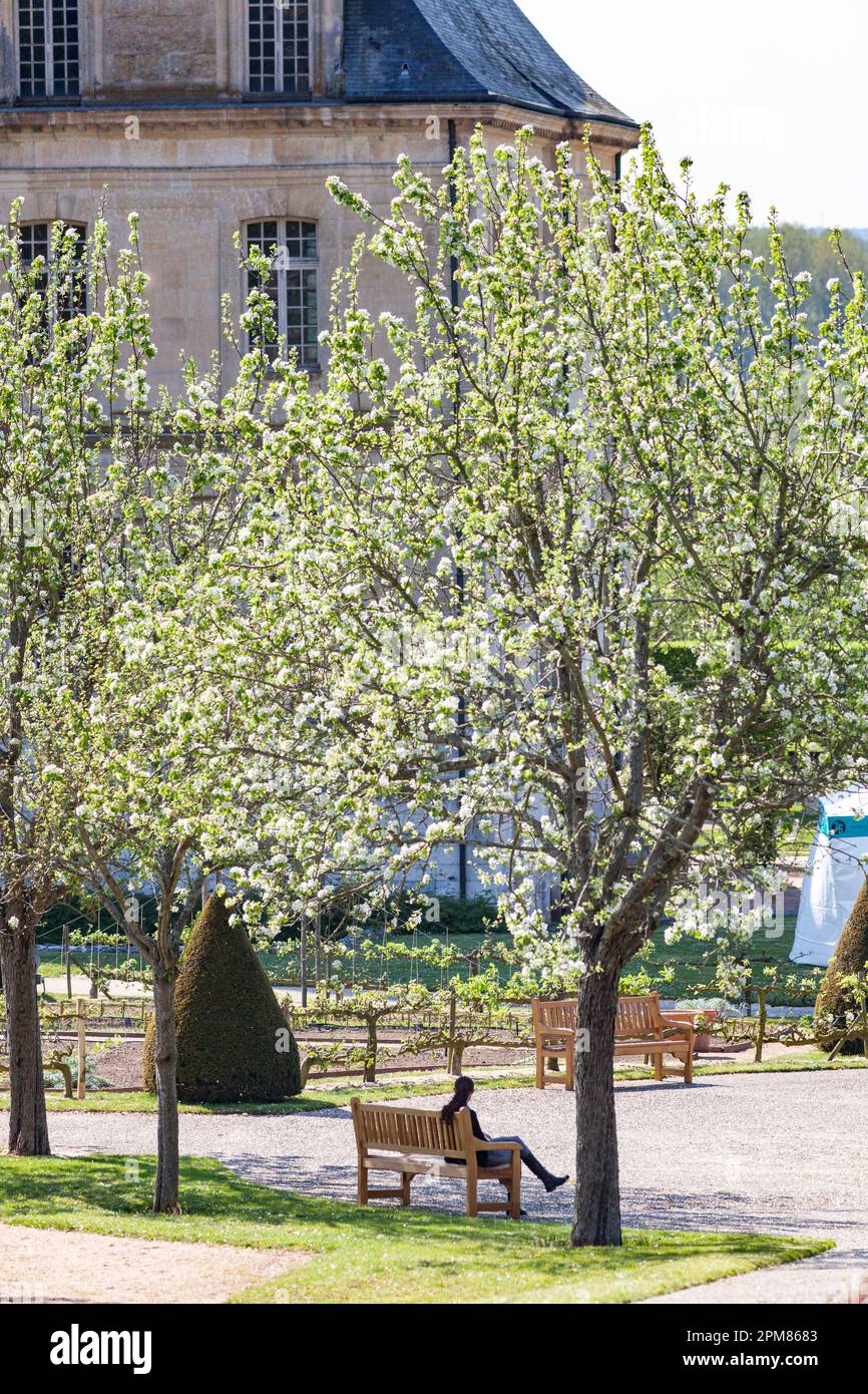 Leute, die auf einer bank an der wade sitzen -Fotos und -Bildmaterial in hoher Auflösung – Alamy