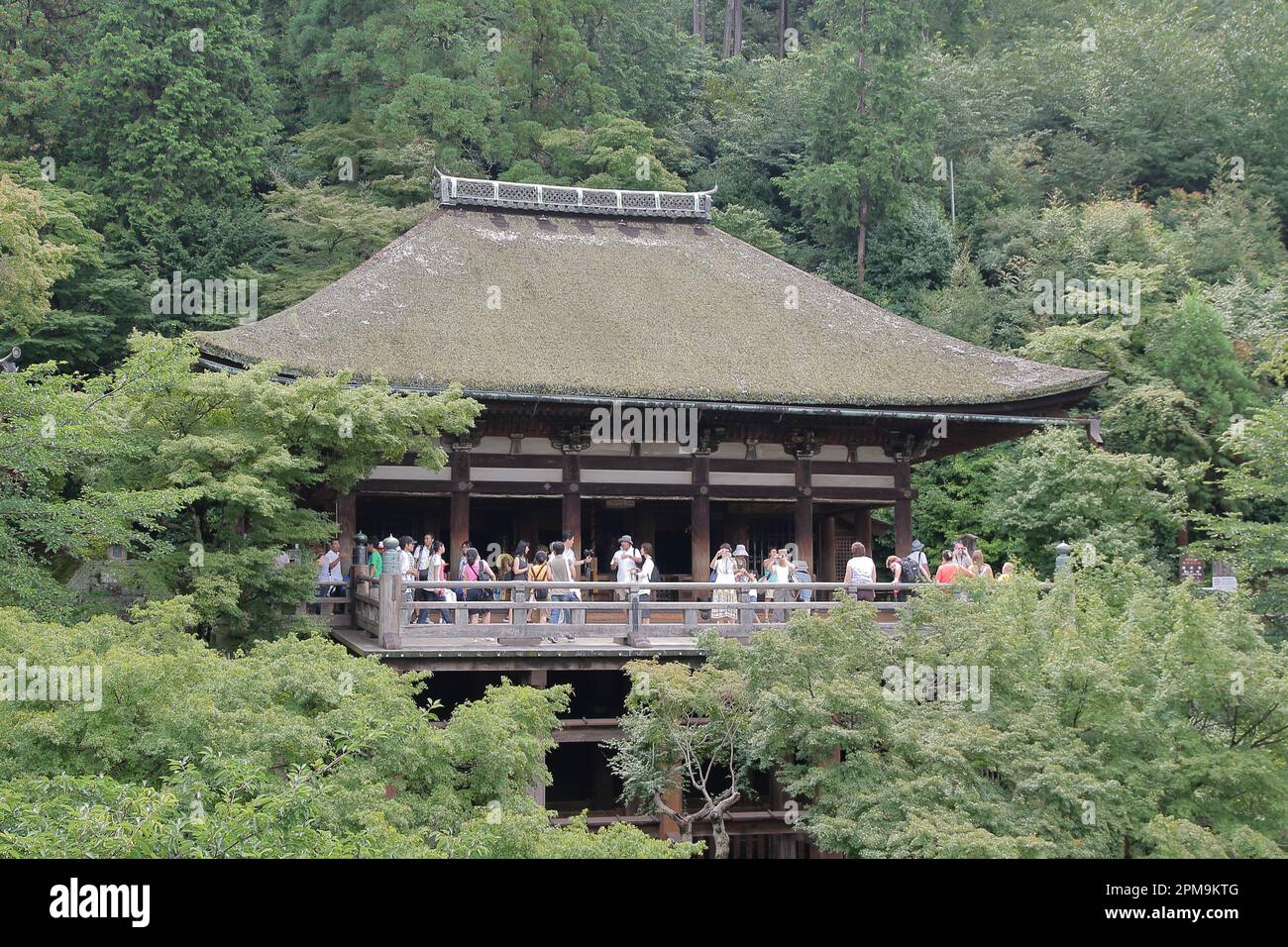Der Sommerblick auf den Kiyomizudera-Tempel (wörtlich „Pure Water Temple“) in Kyoto, JAPAN. Es ...