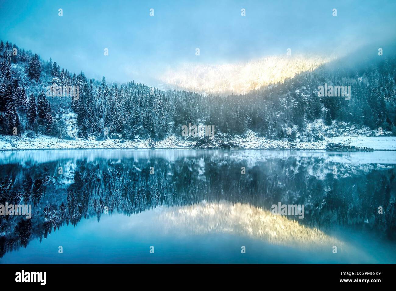 Frankreich, Haut-Rhin, regionaler Naturpark Ballons des Vosges, Vogesen ...