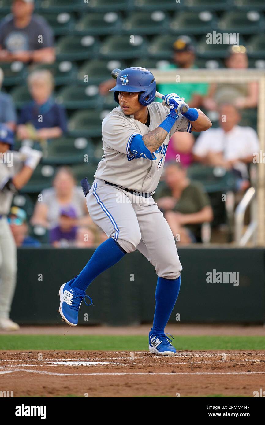 Dunedin Blue Jays Robert Robertis (13) bats during a MiLB Florida State ...